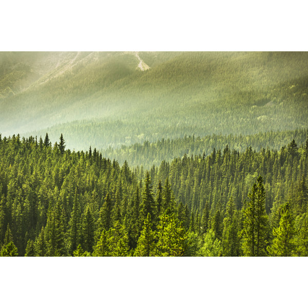 Alpen Home Banff National Park - Wrapped Canvas Print | Wayfair.co.uk