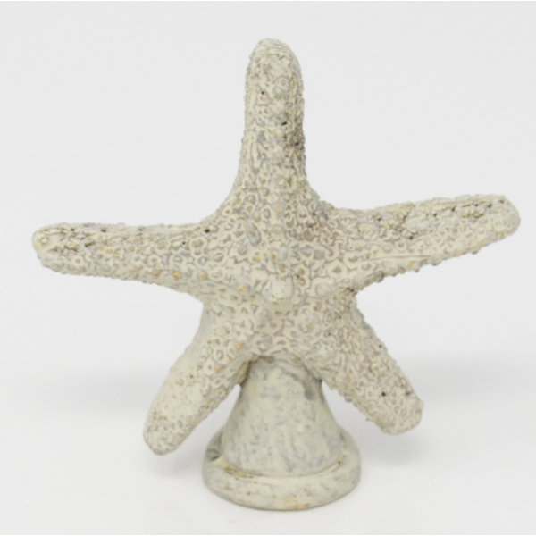 Rosecliff Heights Celsina Starfish Lamp Finial & Reviews | Wayfair