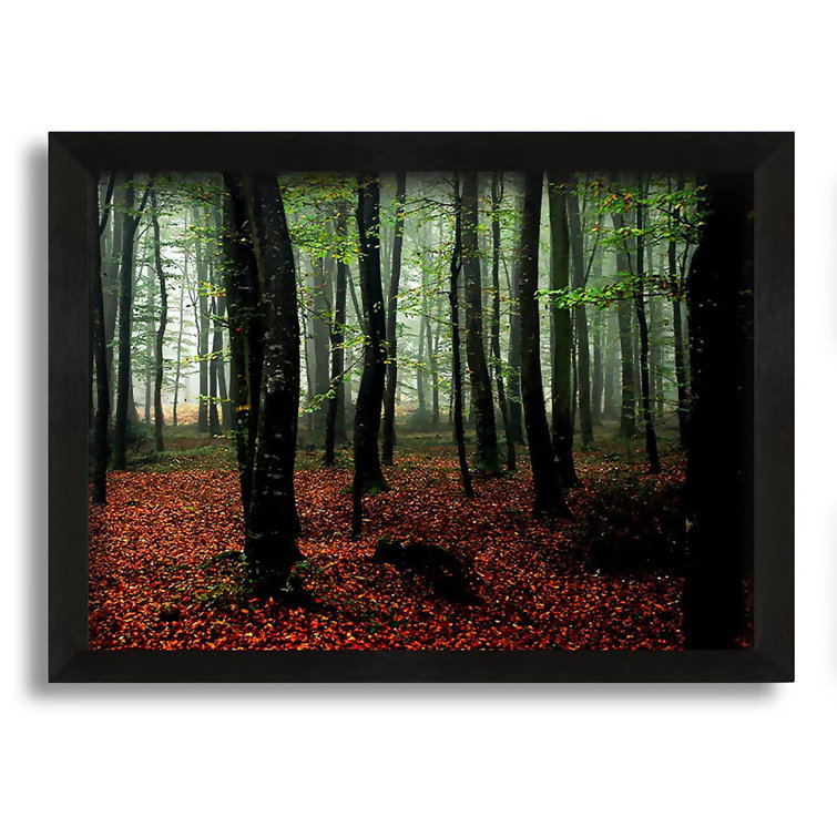 Union Rustic Emerald Forest Hide Away - Single Picture Frame Photograph ...