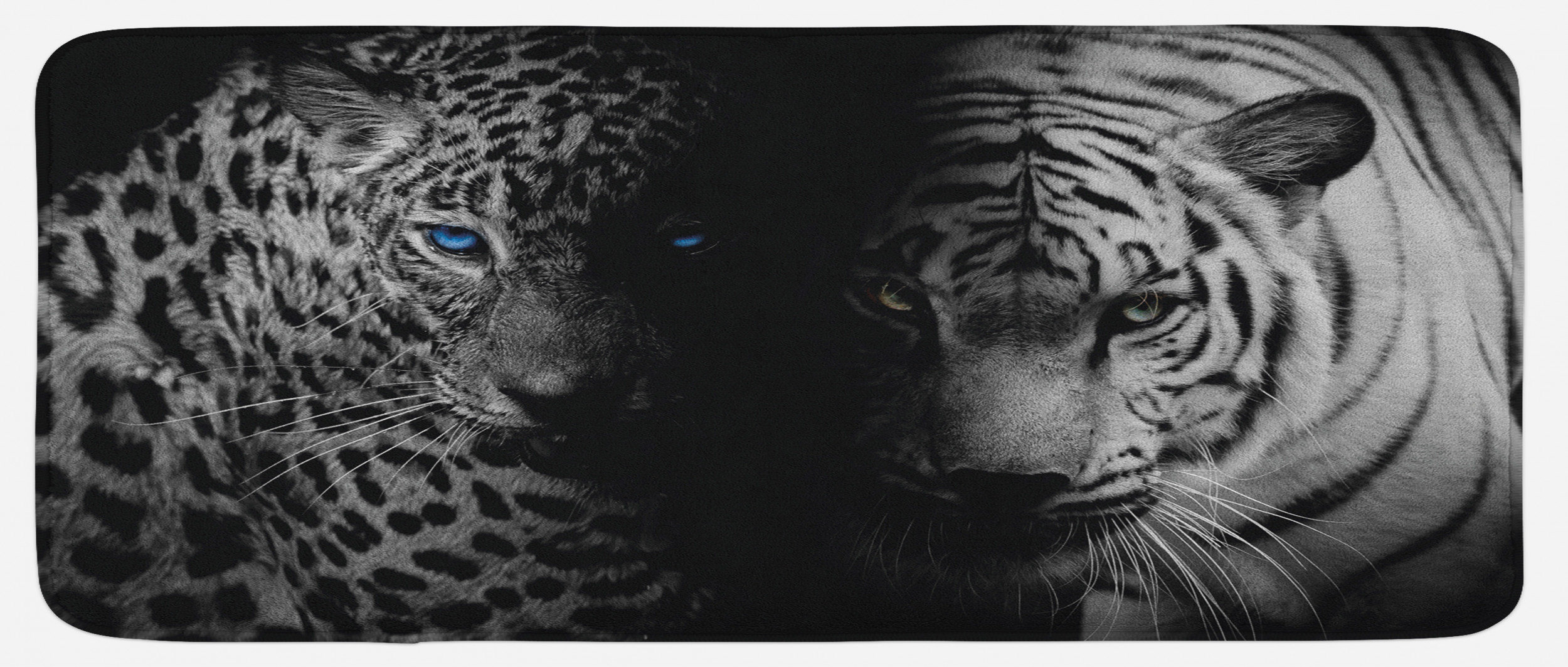 East Urban Home Leopards With Blue Eyes Aggressive Powerful Wildcat ...