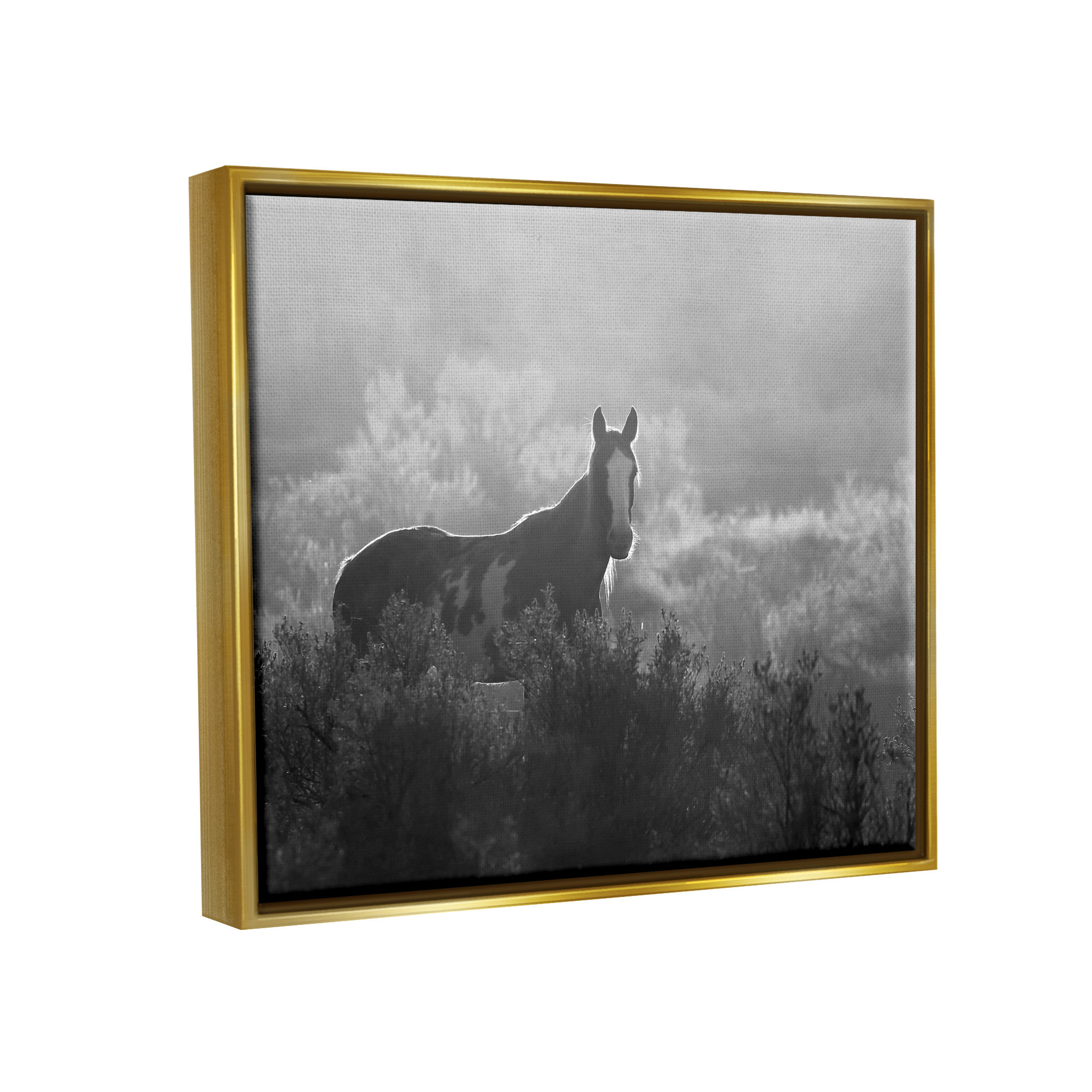 Union Rustic Horse In Nature Trees Framed On Canvas by Steve Toole ...