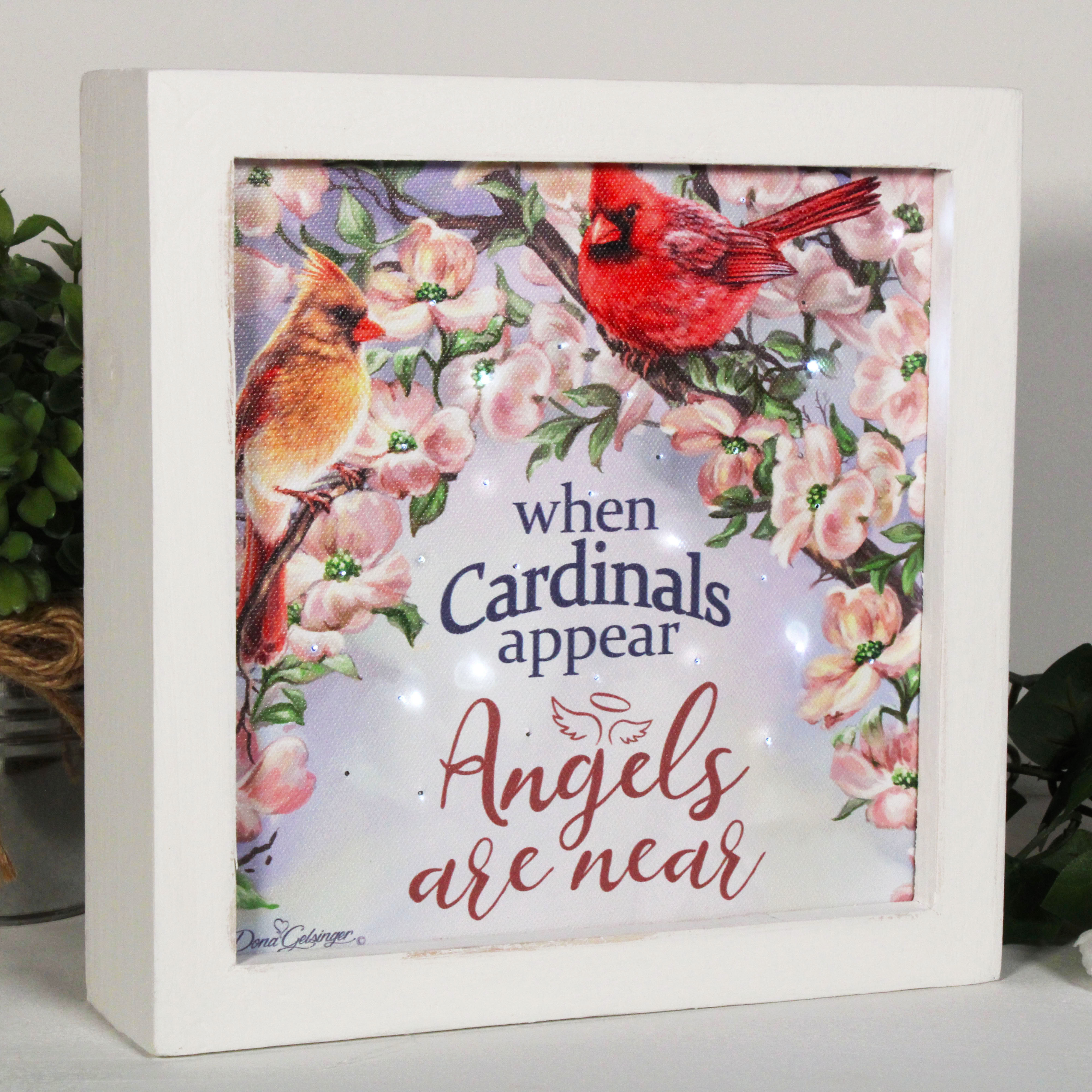 Trinx Lighted Shadow Box 8x8 - Cardinals Appear - Wayfair Canada