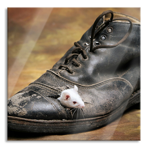 Brayden Studio Mouse In A Black Shoe - No Frame Print on Glass ...