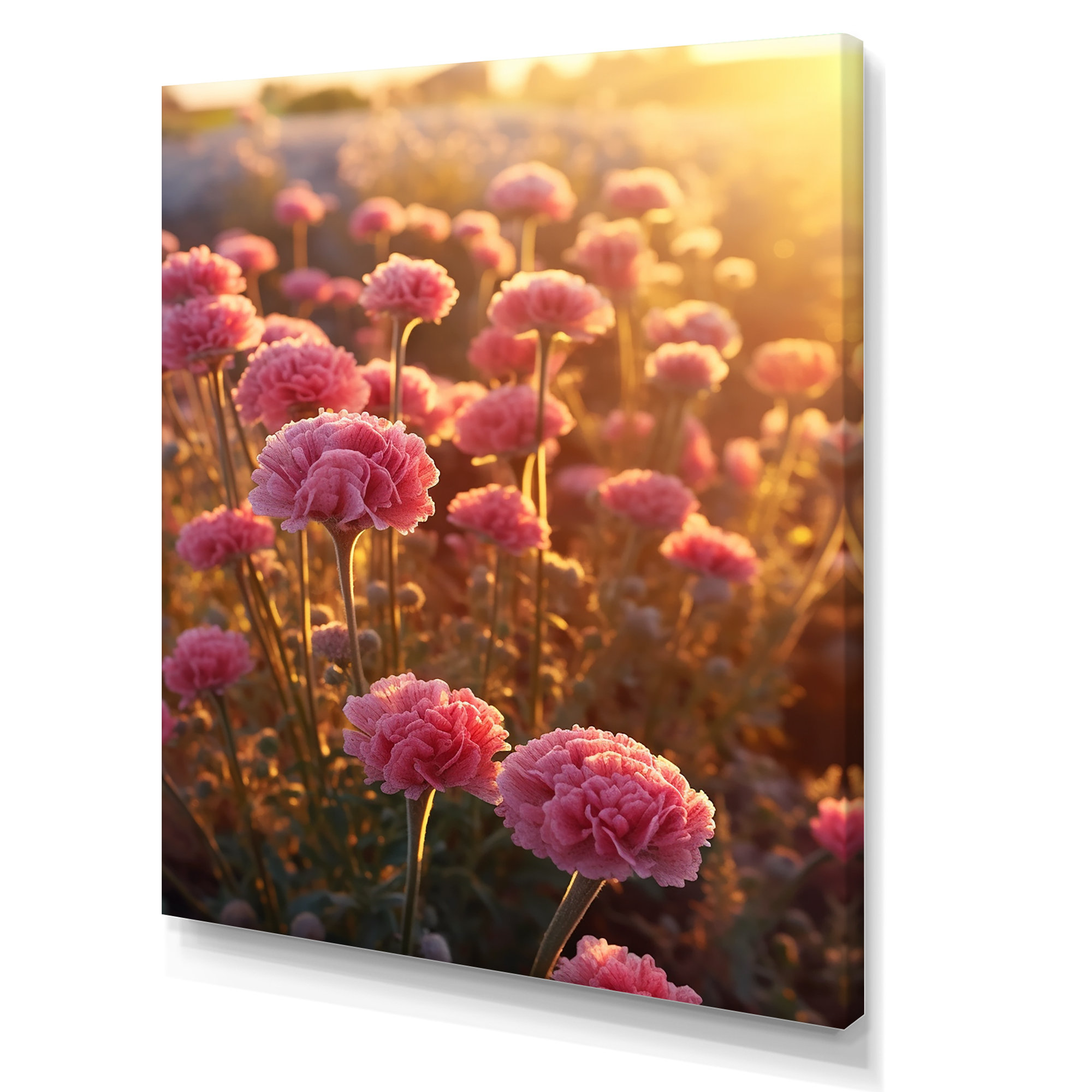 Design Art Pink Carnation Field In Sunset - Carnations Canvas Art Print ...