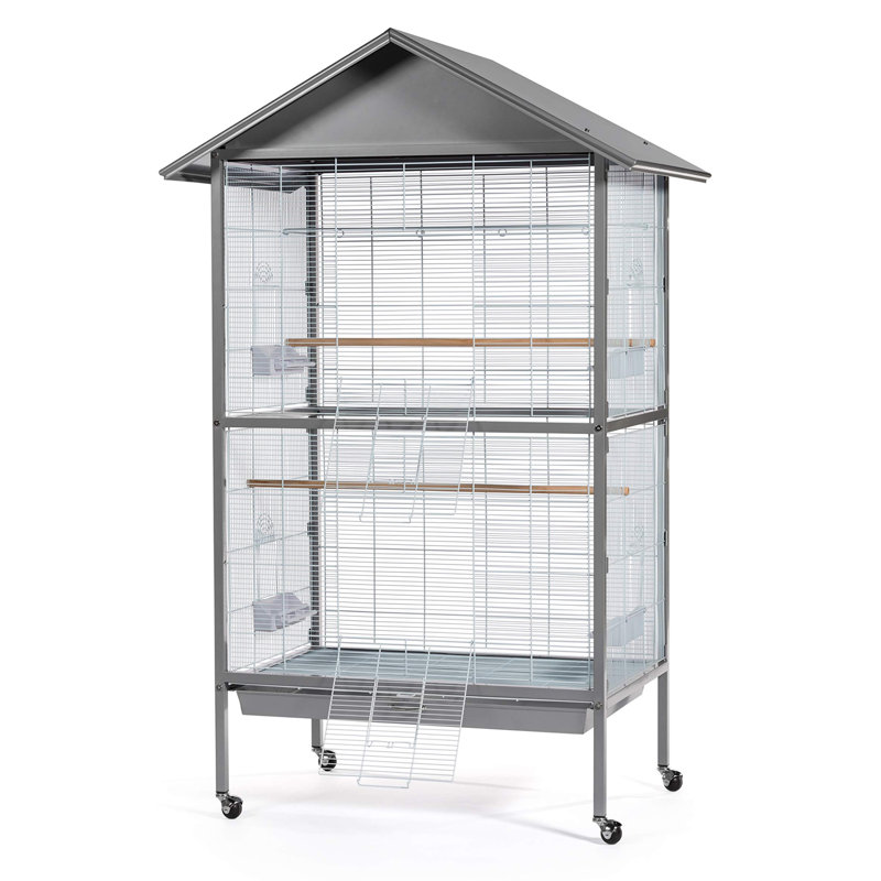 Archie & Oscar 167 Bird Cage | Wayfair.co.uk
