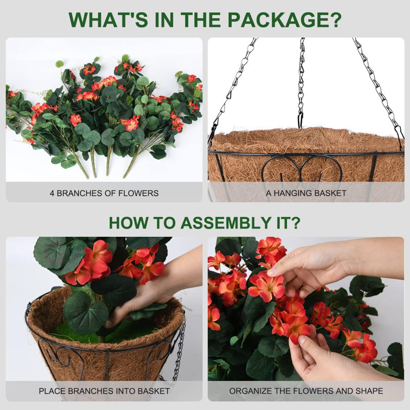 Primrue Lucero Geranium Hanging in Basket | Wayfair