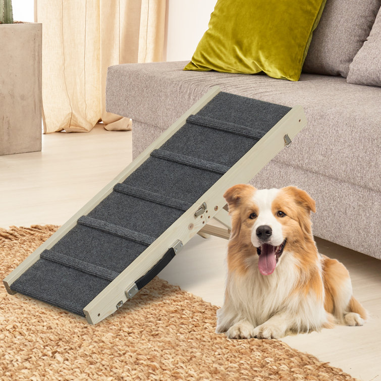 Tucker Murphy Pet™ Portable Dog Ramp - Wayfair Canada
