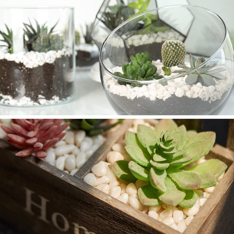 GASPRO 5lb Small White Decorative Rocks for Plants, Vases, Succulent, 3 ...