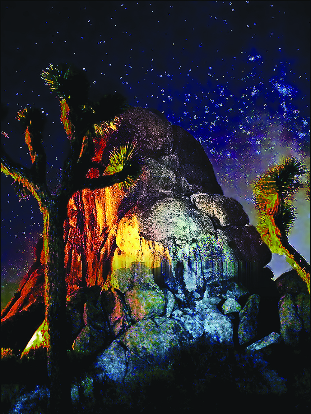 Buy Art For Less Joshua Tree Night Sky by Joseph Elliot - Photograph ...