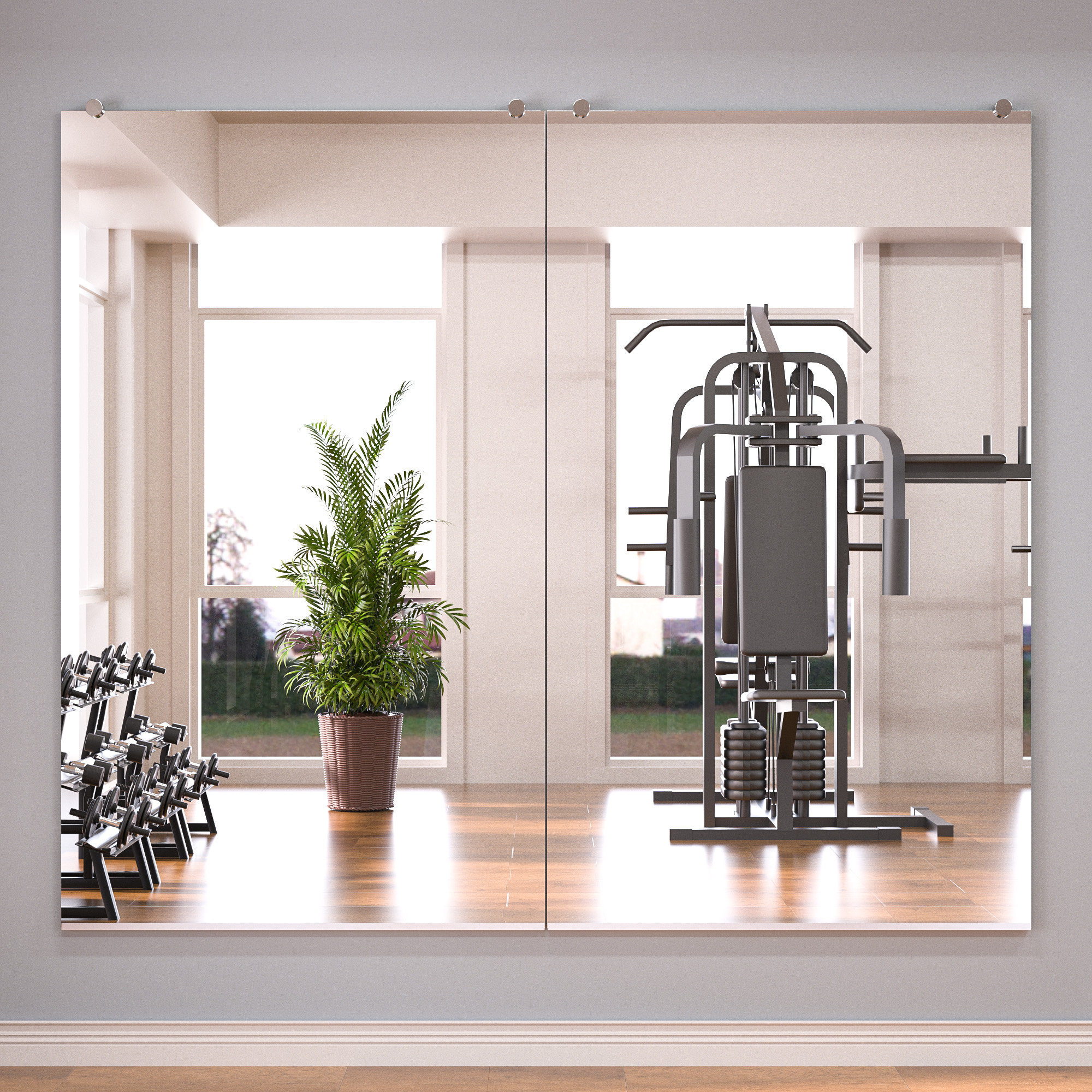 Latitude Run® Refat Rectangle Full Length Wall Mirror Set Home Gym ...