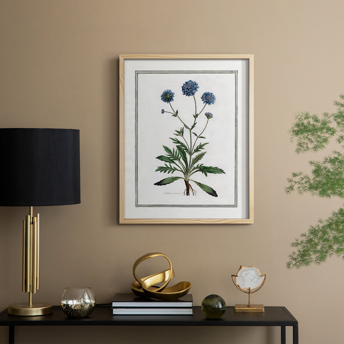 Ophelia & Co. Soft Botanical II Framed Print - Solid Wood | Wayfair