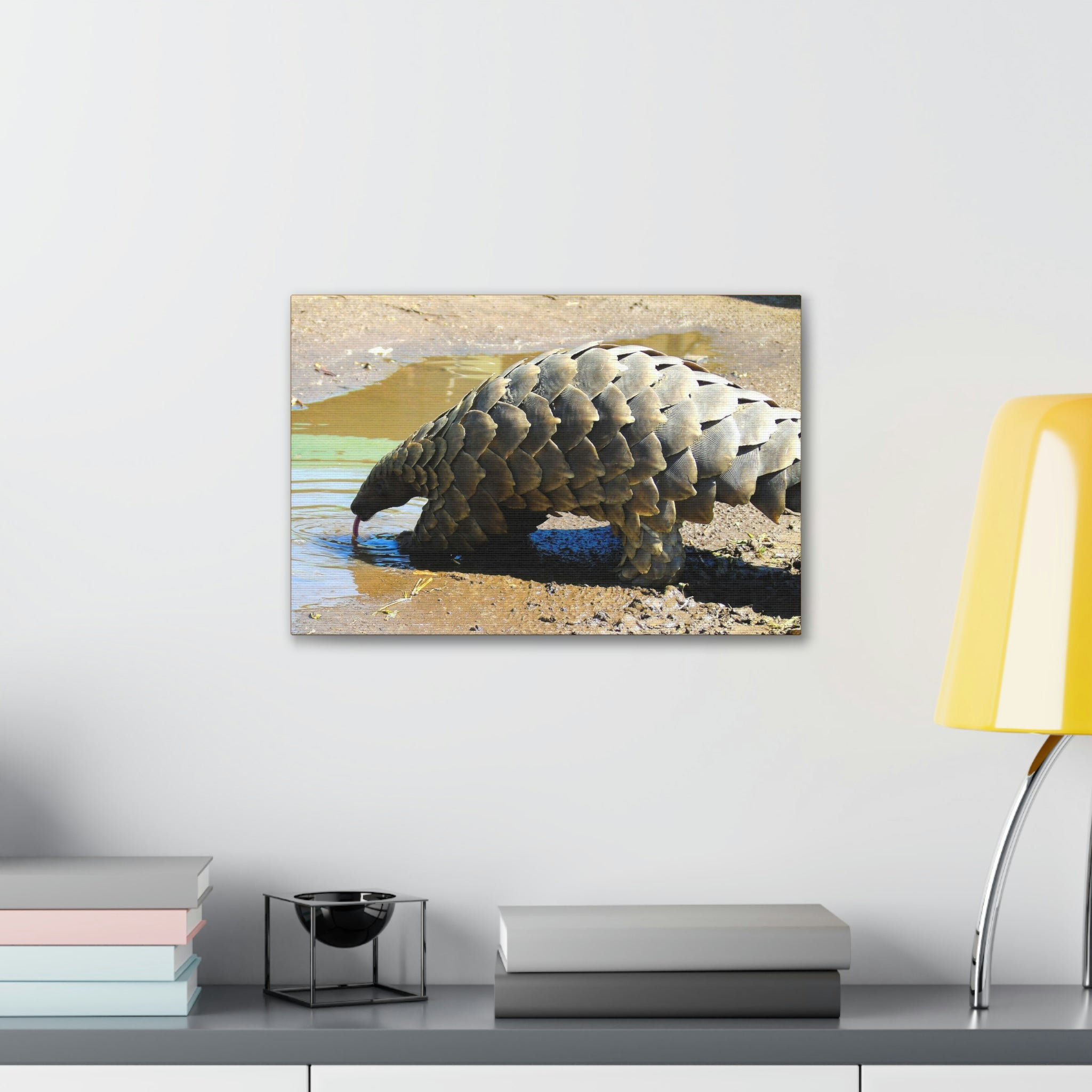 Latitude Run® Funny Pangolin Silly African Tree Pangolin Outside Wall ...