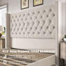 Willa Arlo™ Interiors Duluth Tufted Upholstered Low Profile Platform ...