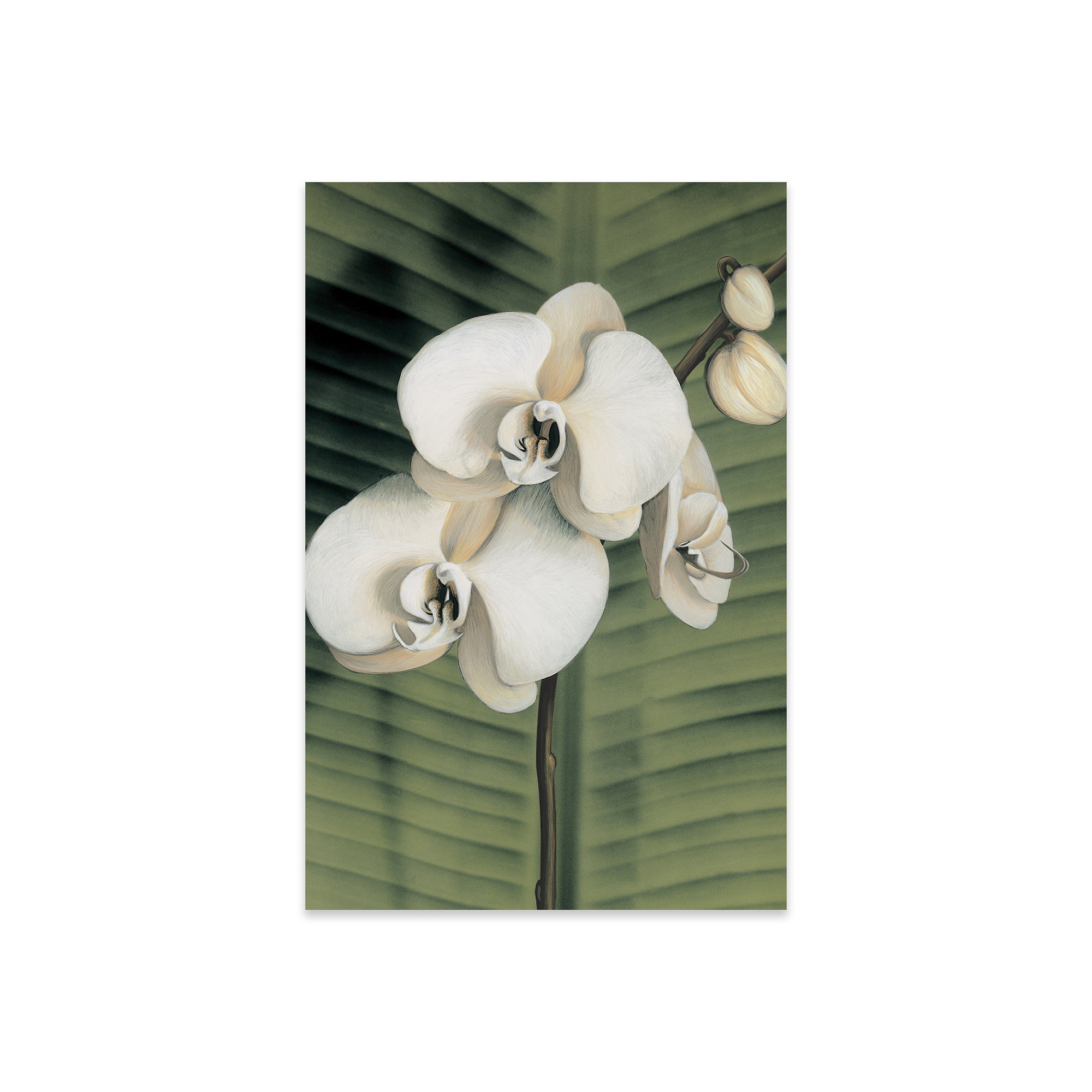 Red Barrel Studio Orchidée avec palmier II sur plastique / acrylique ...