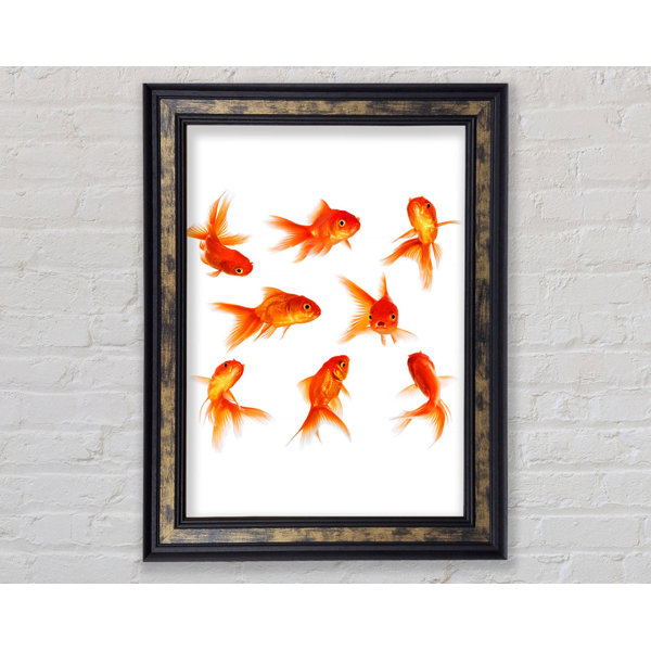 Bright Star Goldfish Party - Single Picture Frame Print | Wayfair.co.uk
