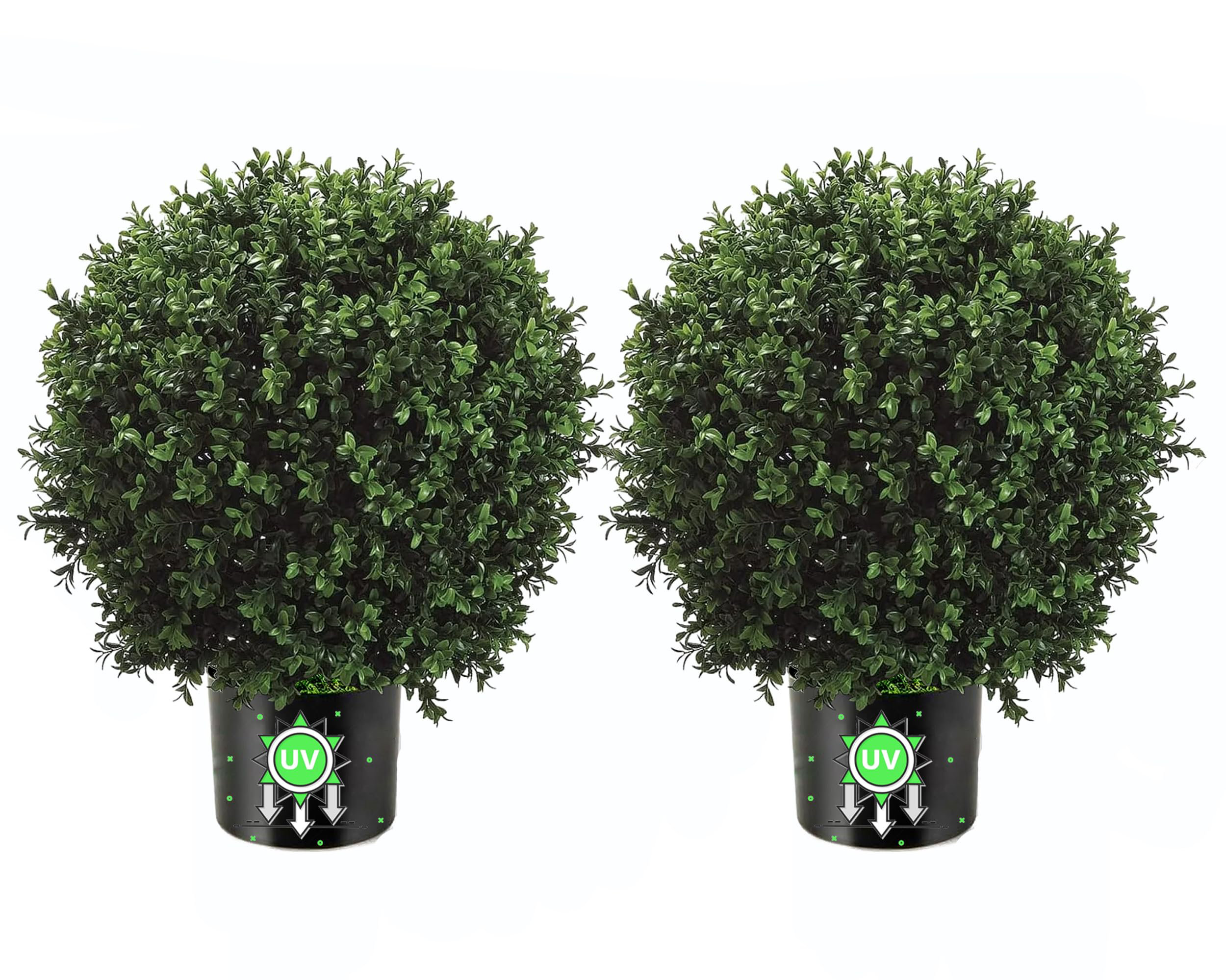 Primrue Set of 2 Boxwood Ball Topiaries - Wayfair Canada