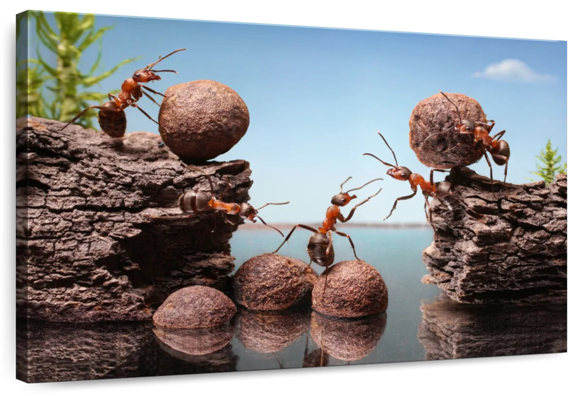 Ebern Designs Brampt Ants Building Dam | Wayfair