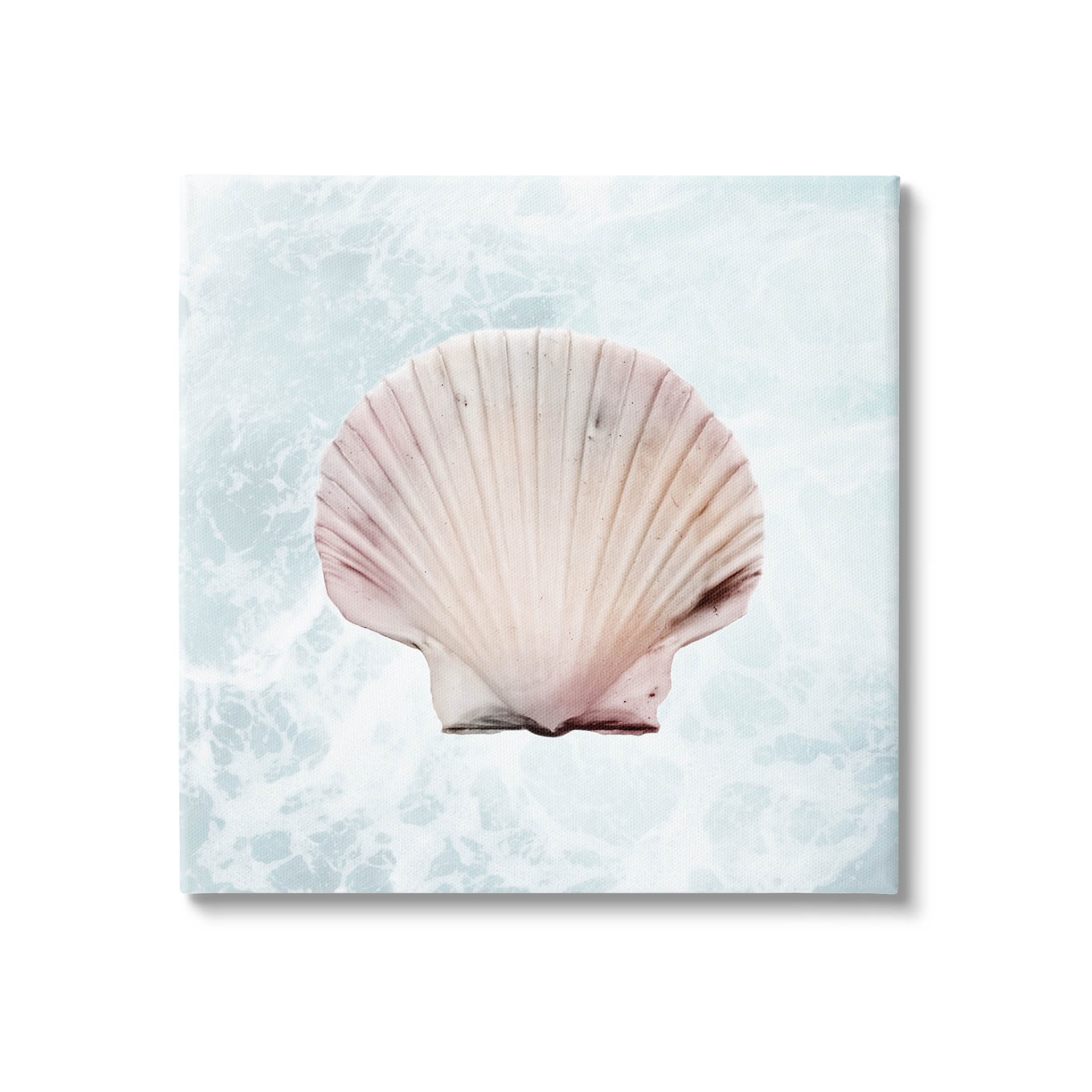 Stupell Industries " Clam Shell Sea Water " by Marcus Prime - Wayfair ...