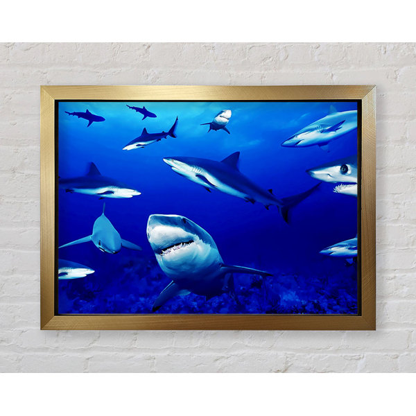 Bright Star Sharks Ocean - Single Picture Frame Art Prints | Wayfair.co.uk