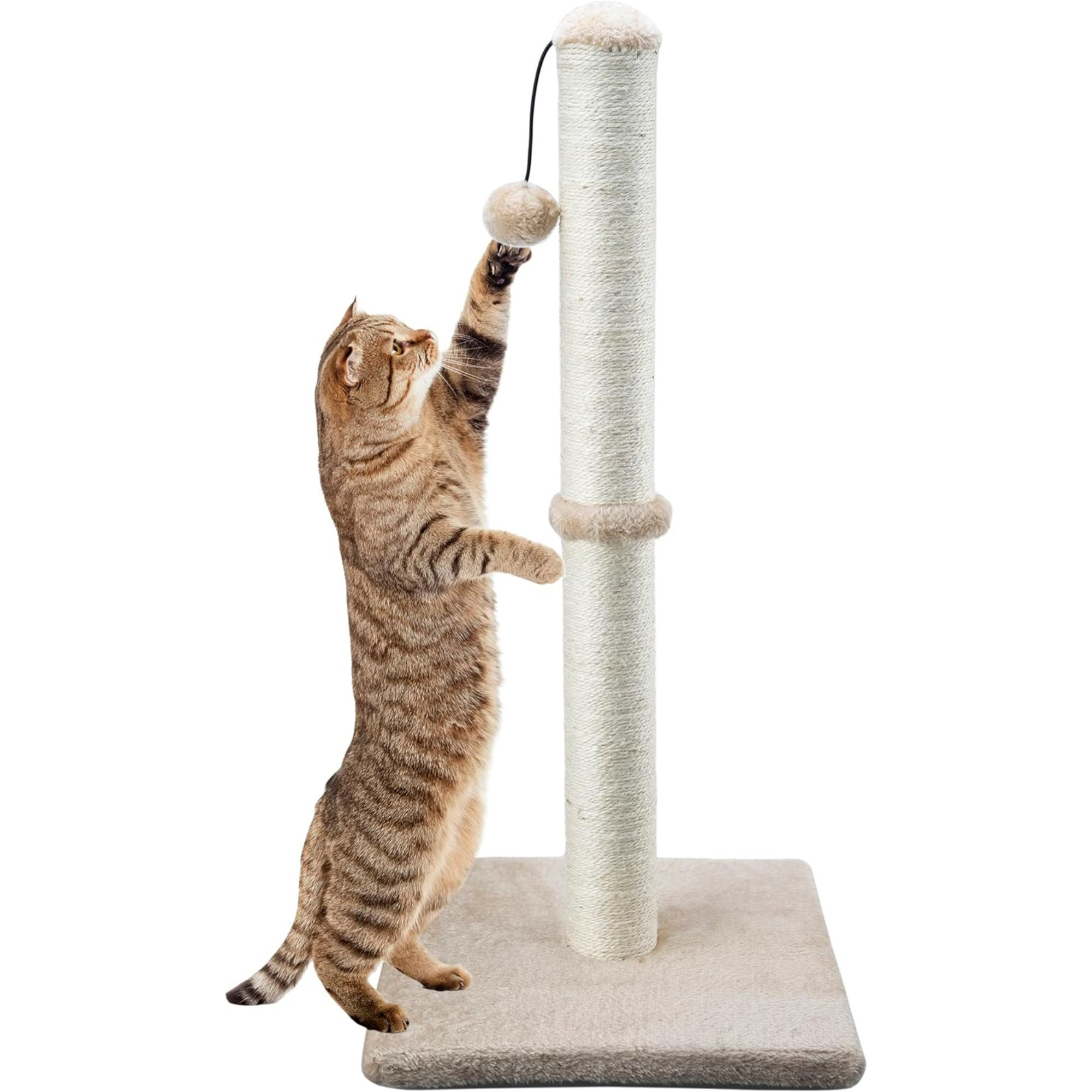 Tucker Murphy Pet™ 29" Tall Cat Scratching Post, Scratch Posts With ...