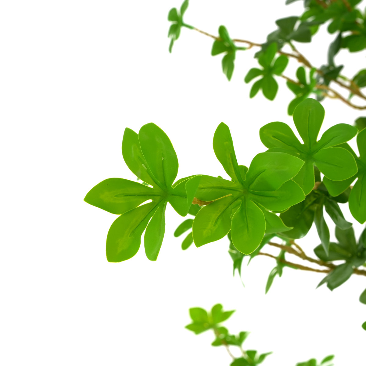 Primrue Zara 76" Artificial Enkianthus Tree With Pot & Adjustable ...