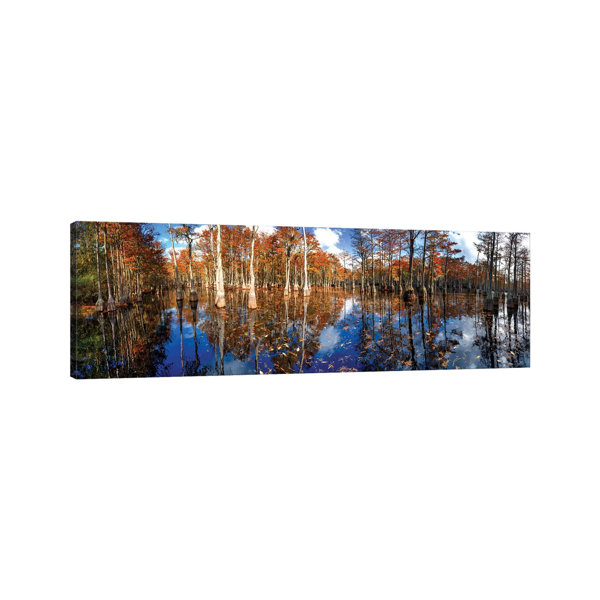 Union Rustic Cypress Swamp Panorama In George L. Smith State Park ...