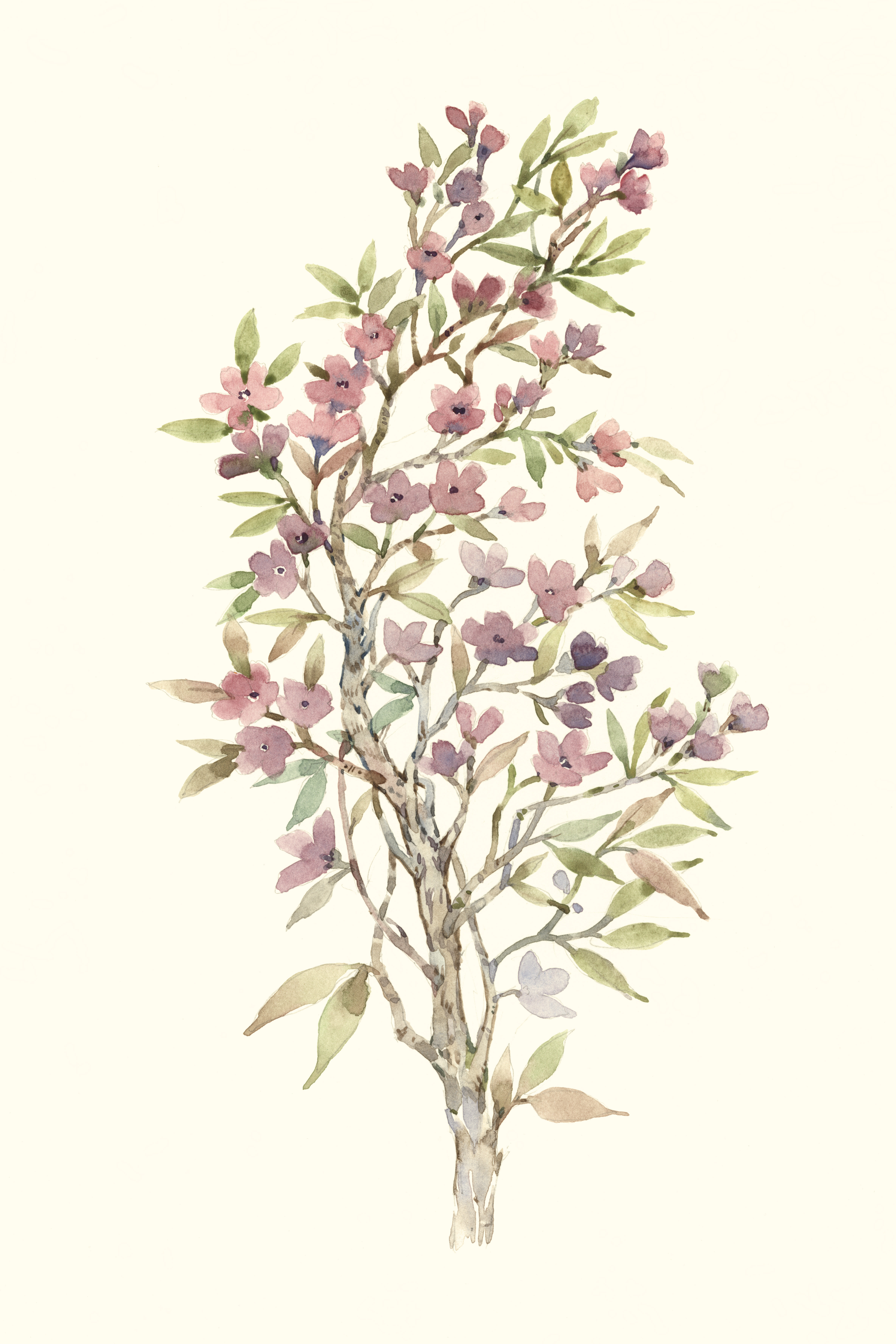 August Grove Twig Study I by Timothy O' Toole - Painting | Wayfair.co.uk