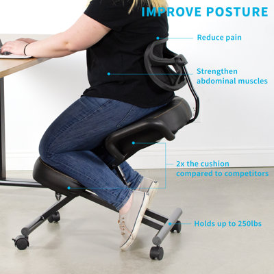 VIvo Kneeling Chair with Back Support & Reviews | Wayfair