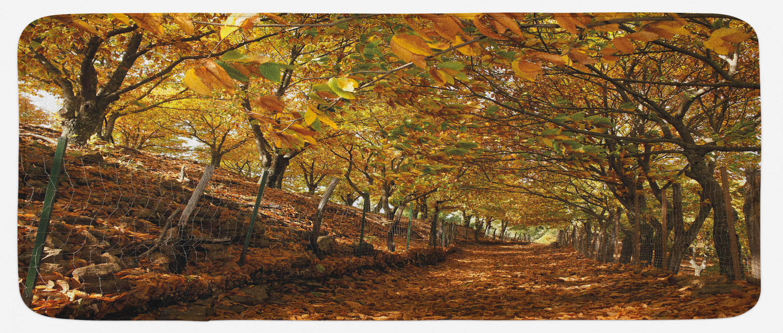 East Urban Home Autumn Foliage Forest With Deciduous Trees Faded Fall ...