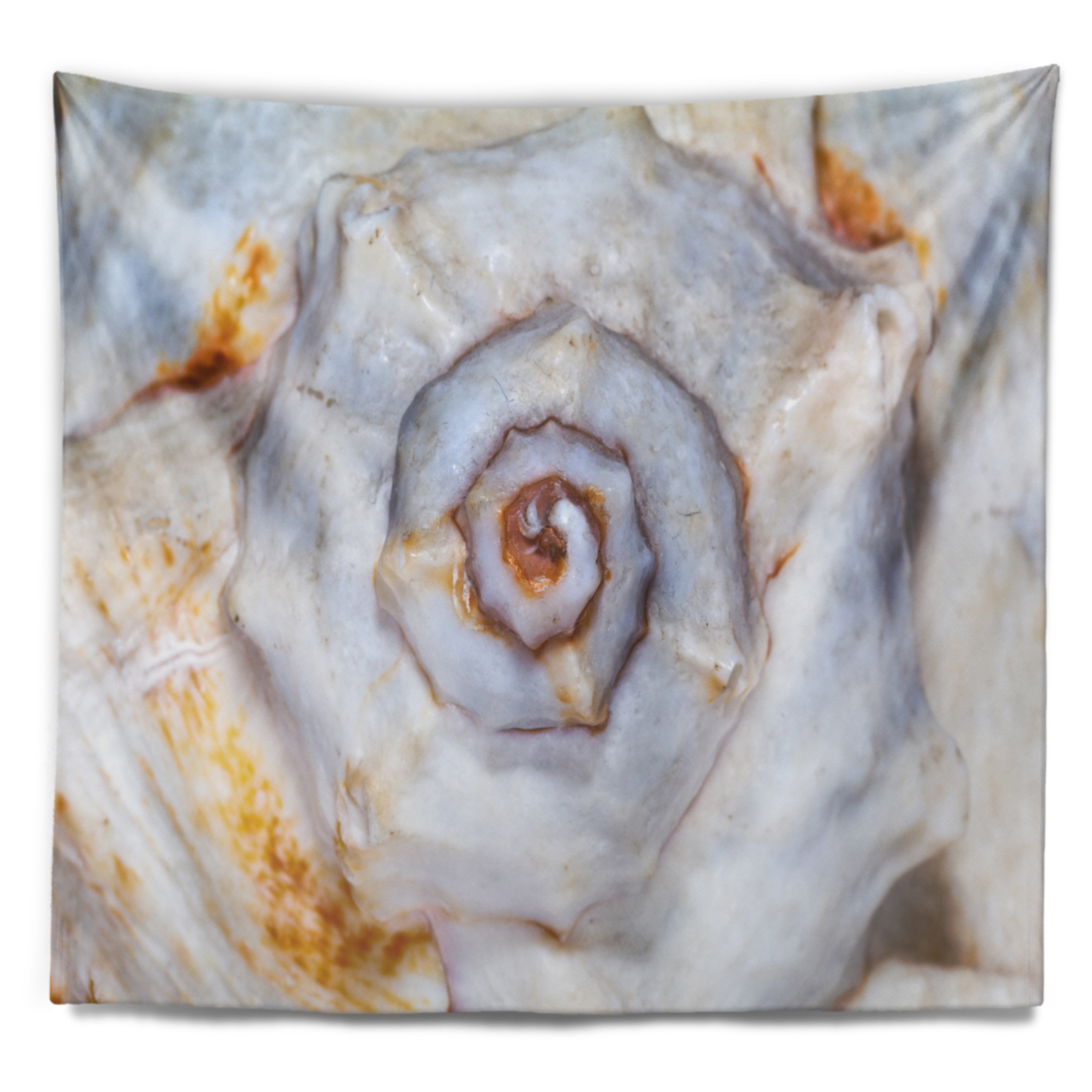 East Urban Home Great Skeleton of Sea Shell Tapestry | Wayfair
