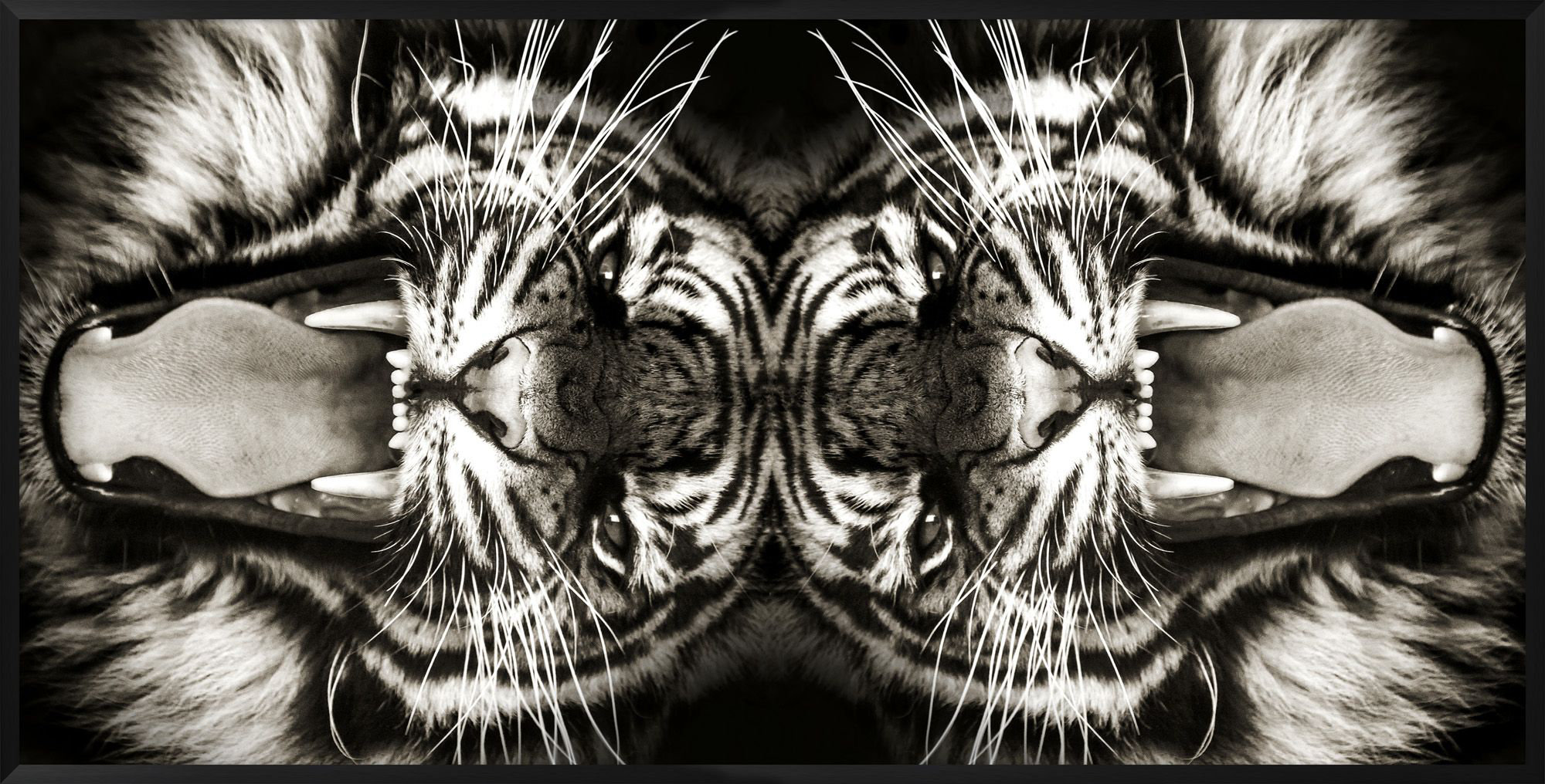 Wendover Art Group " Tiger Mirror Panel 1 " | Wayfair