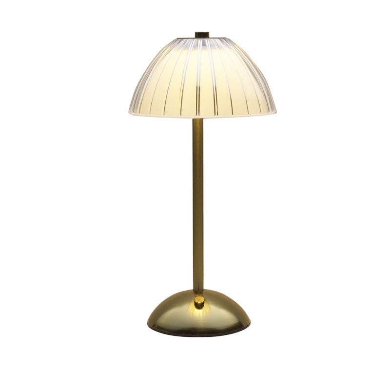 Elements Acrylic LED Rechargeable Portable Tabletop Lamp | Wayfair