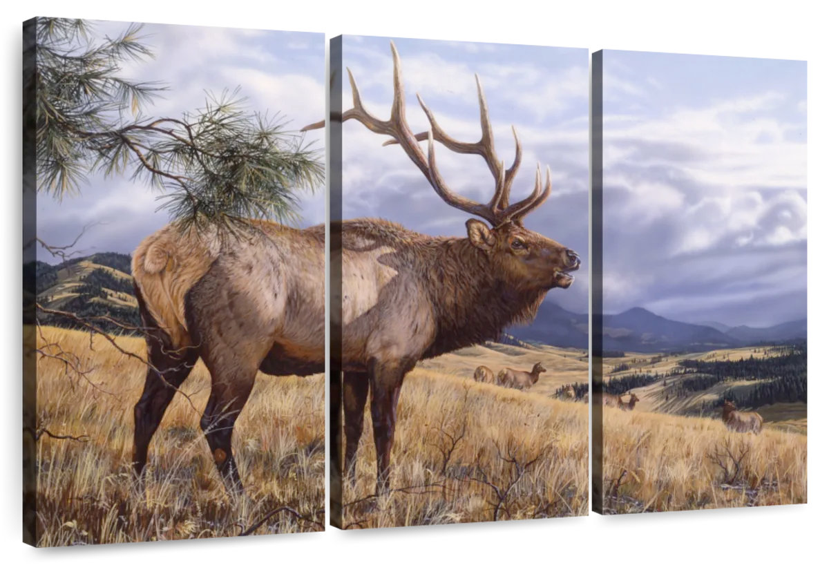 Ebern Designs Brampt Big Sky Bugler | Wayfair