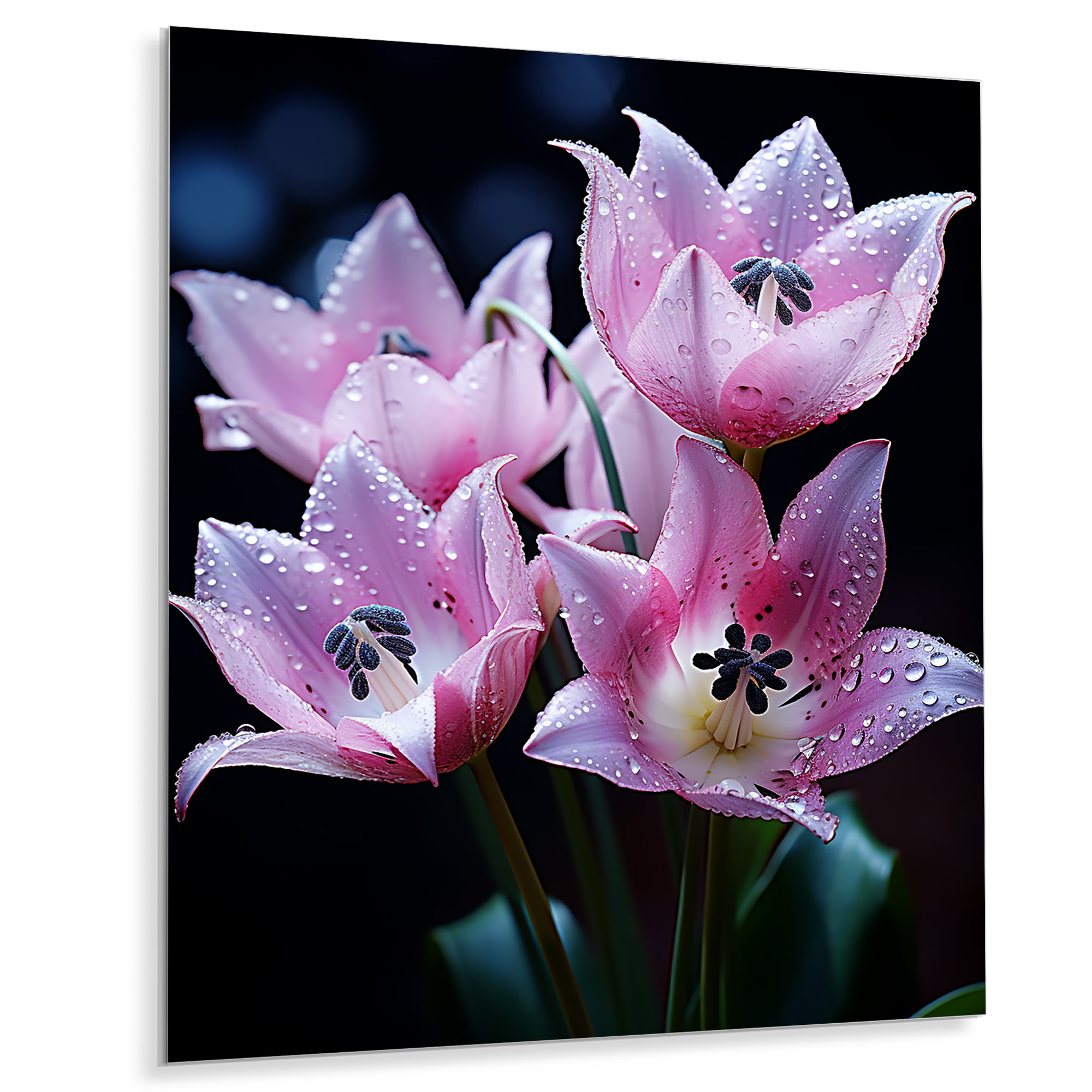 Ebern Designs Pink Flowers Enchanted Tulips On Black - Floral Metal ...