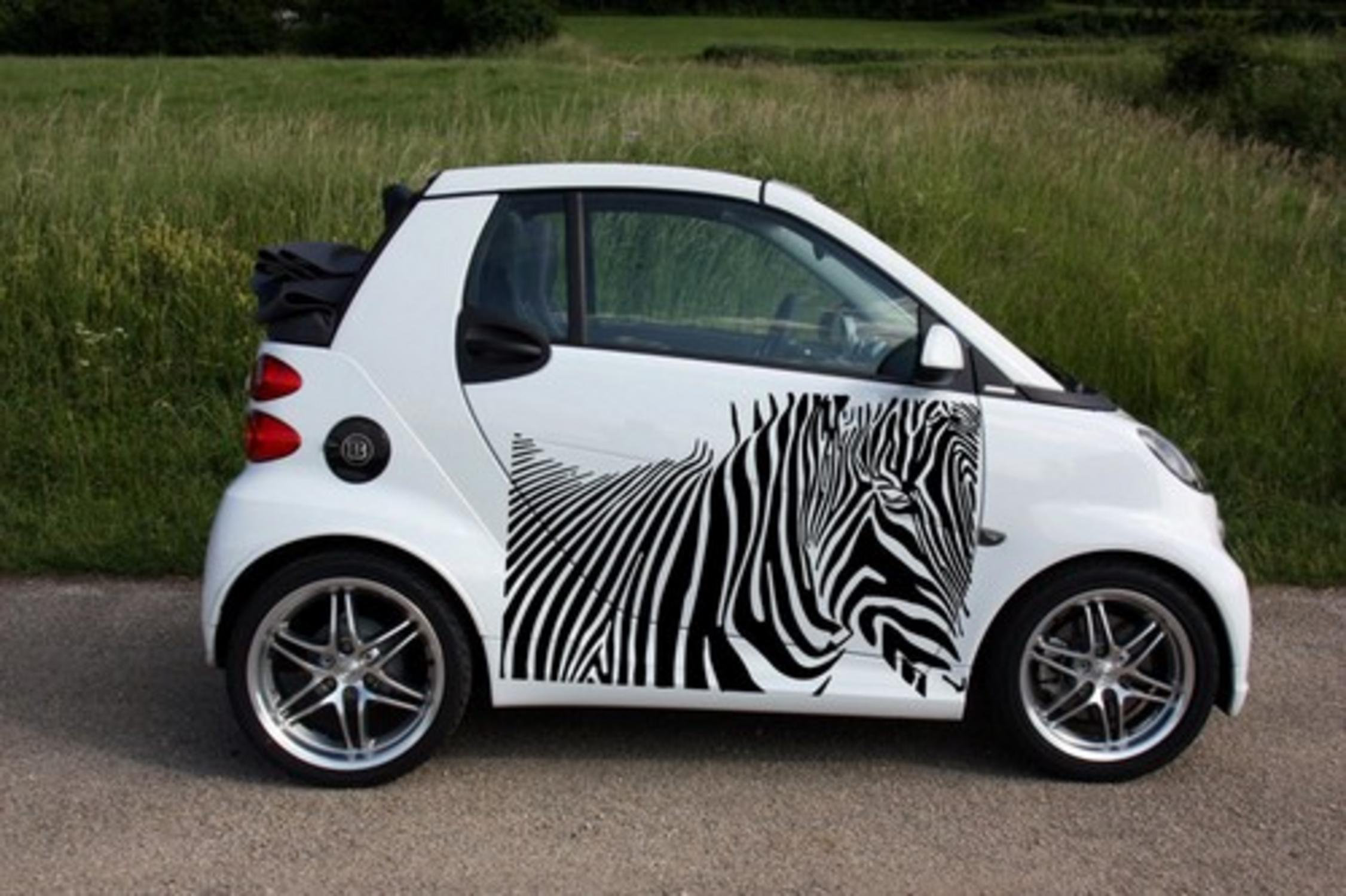 Stickalz Zebra Head Print Zebra Stripes Pattern Design Car Vinyl ...