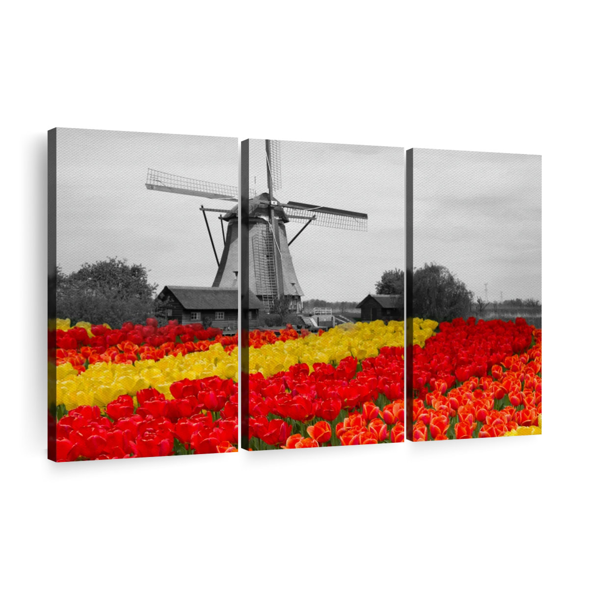 August Grove Windmill Tulip Pop Multi Piece Canvas Print - Wayfair Canada