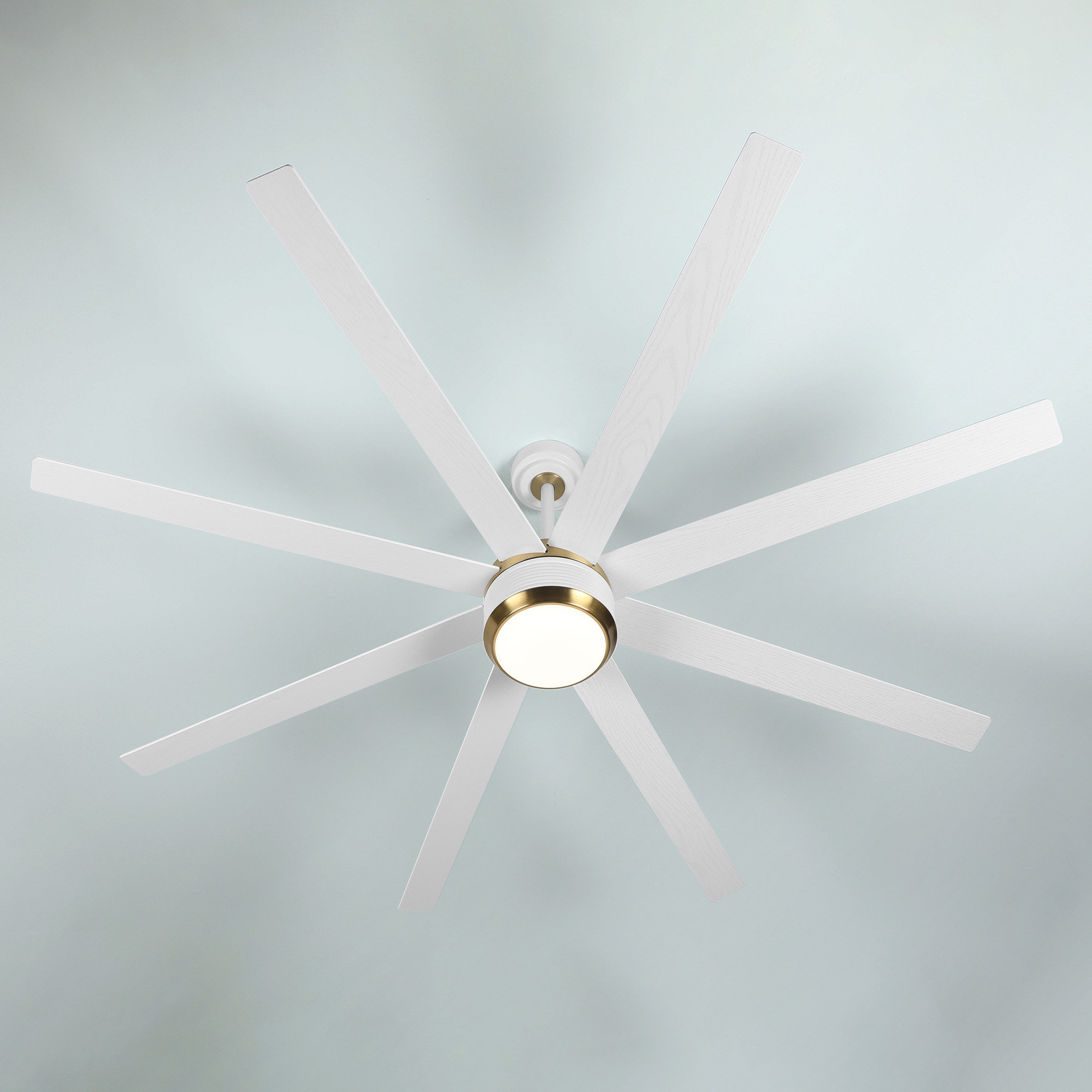 Mercer41 Esme 72'' Ceiling Fan with LED Lights & Reviews | Wayfair