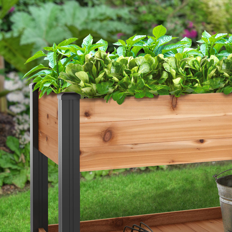 Arlmont & Co. 2 Ft. X 4 Ft. Natural Cedar Elevated Garden Planter With ...
