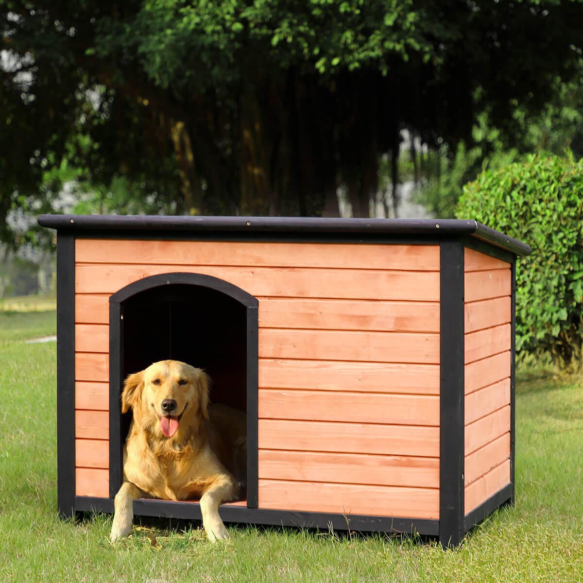 Tucker Murphy Pet™ Niche pour chien en bois brun / noir Bransen ...