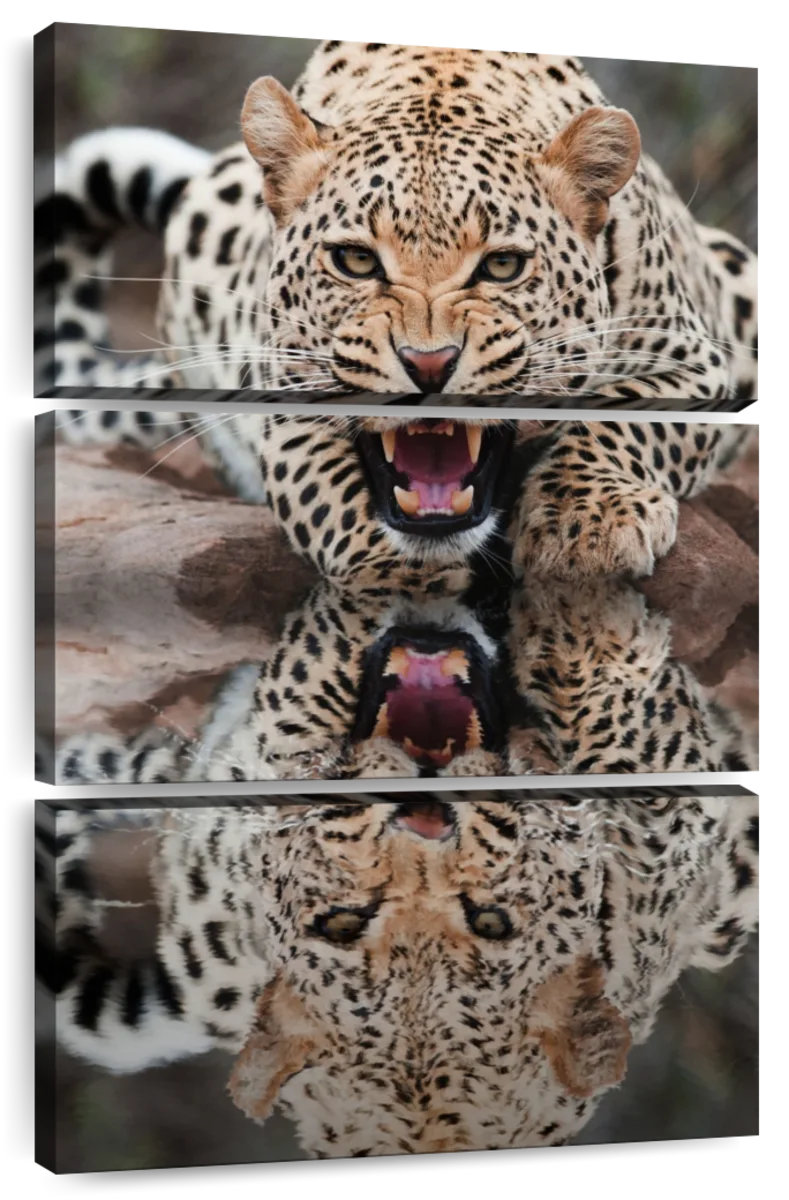 Ebern Designs Brampt Leopard Growling Reflection | Wayfair