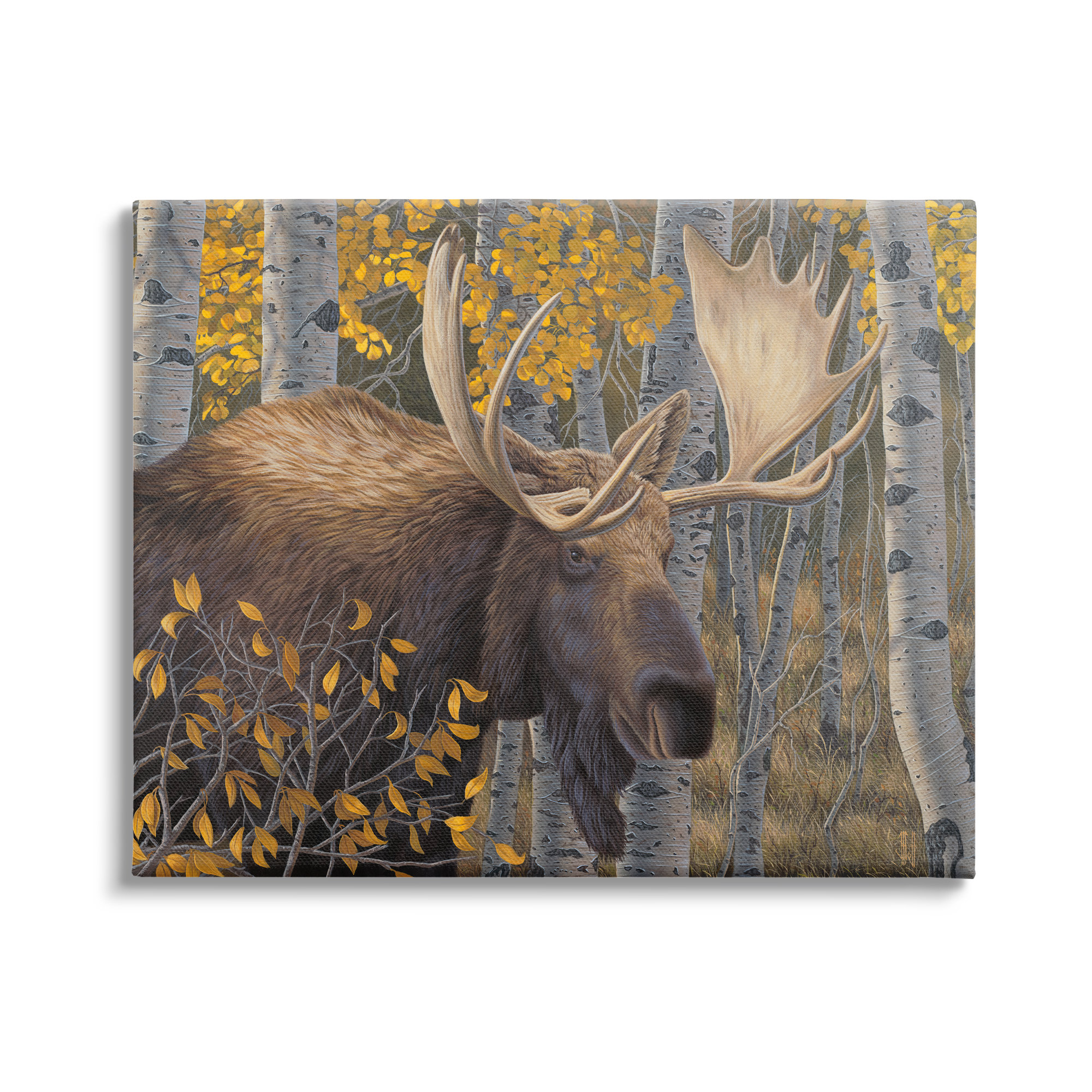 Millwood Pines Moose In Fall Foliage On Canvas by Jeff Hoff Print | Wayfair