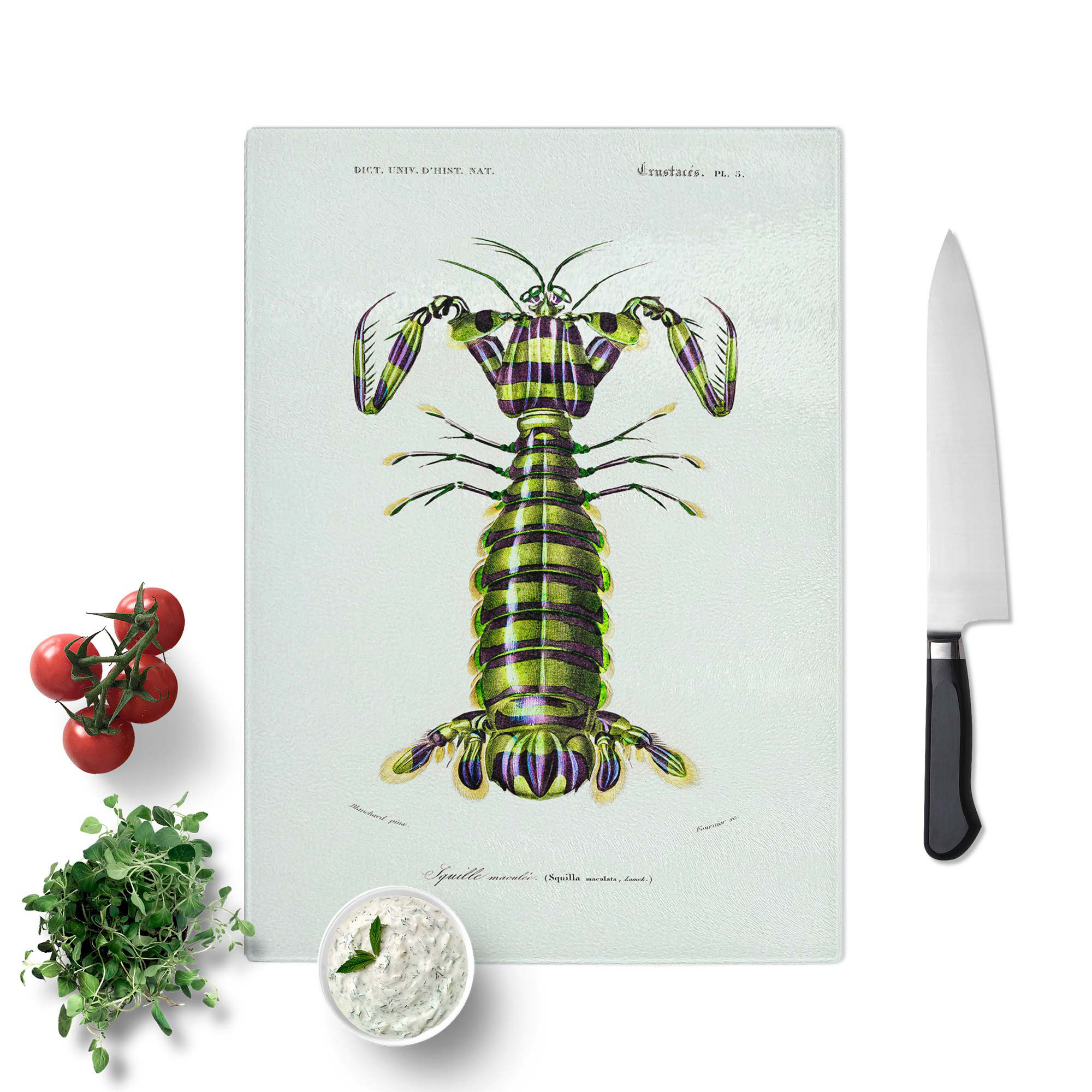 East Urban Home Glass Giant Mantis Shrimp by Charles D' Orbigny ...