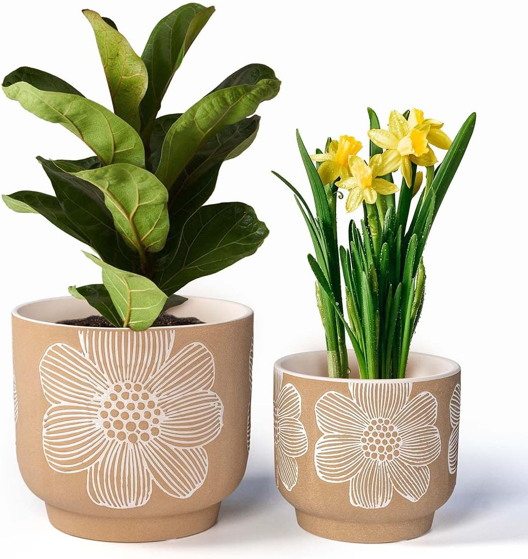 Primrue Flower Pattern Plant Pots | Wayfair