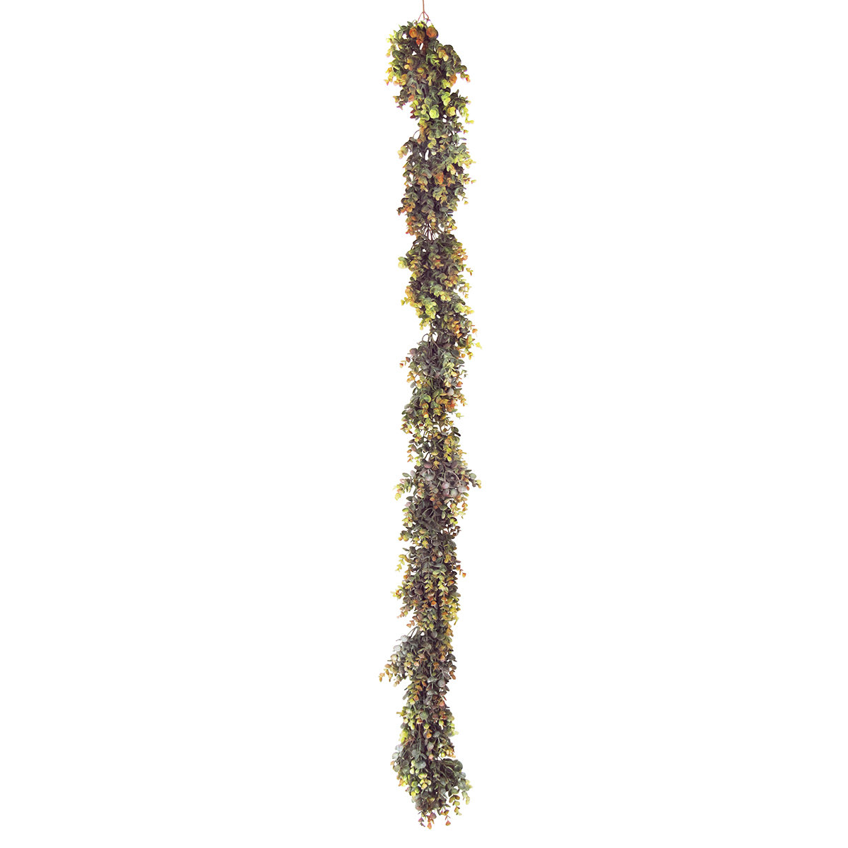 Primrue 6' Garland | Wayfair