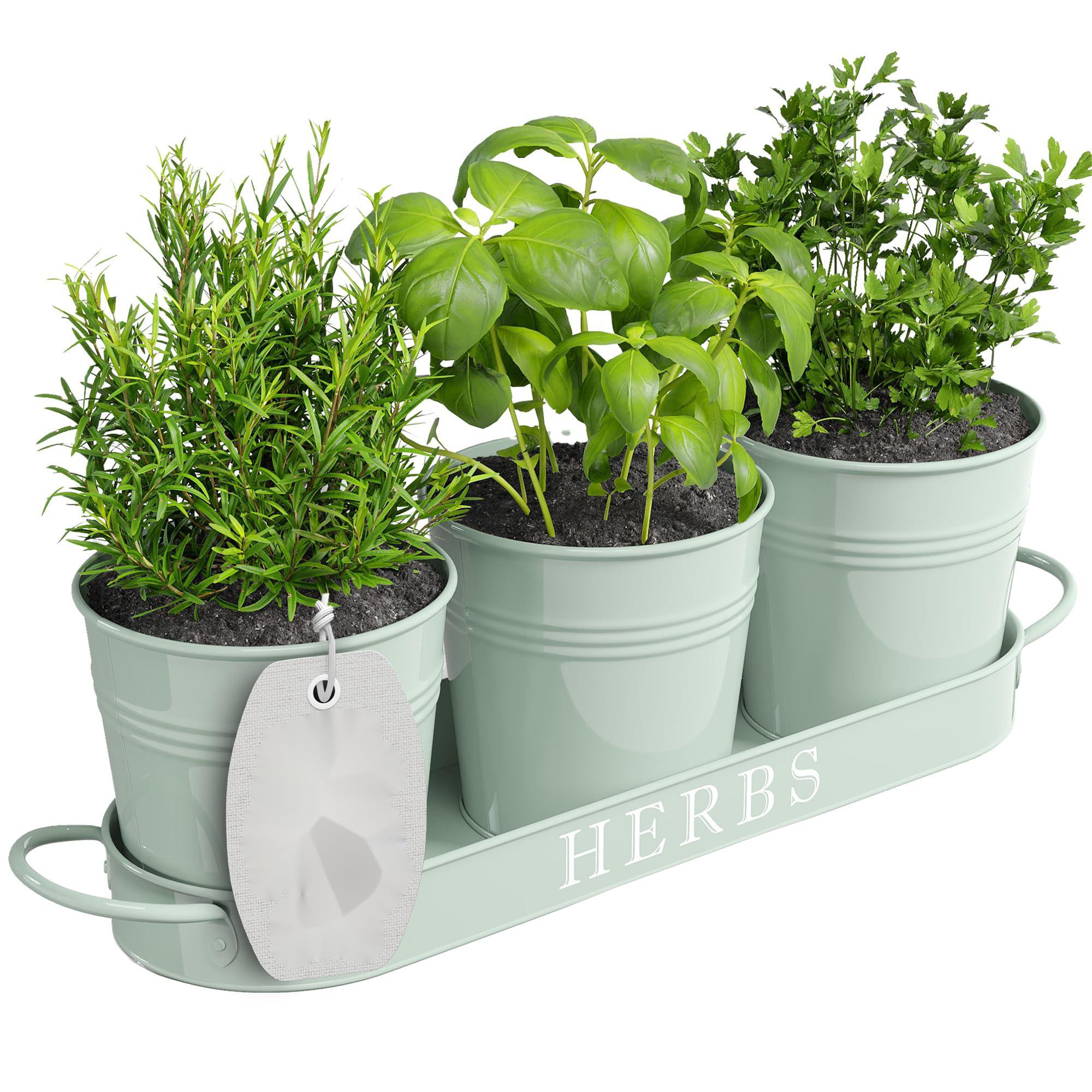 August Grove® Designs Indoor Herb Garden Planter Set With Tray, Metal ...