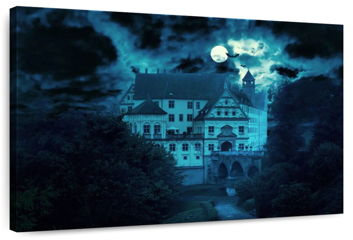 Elephant Stock Sinister Haunted House | Wayfair