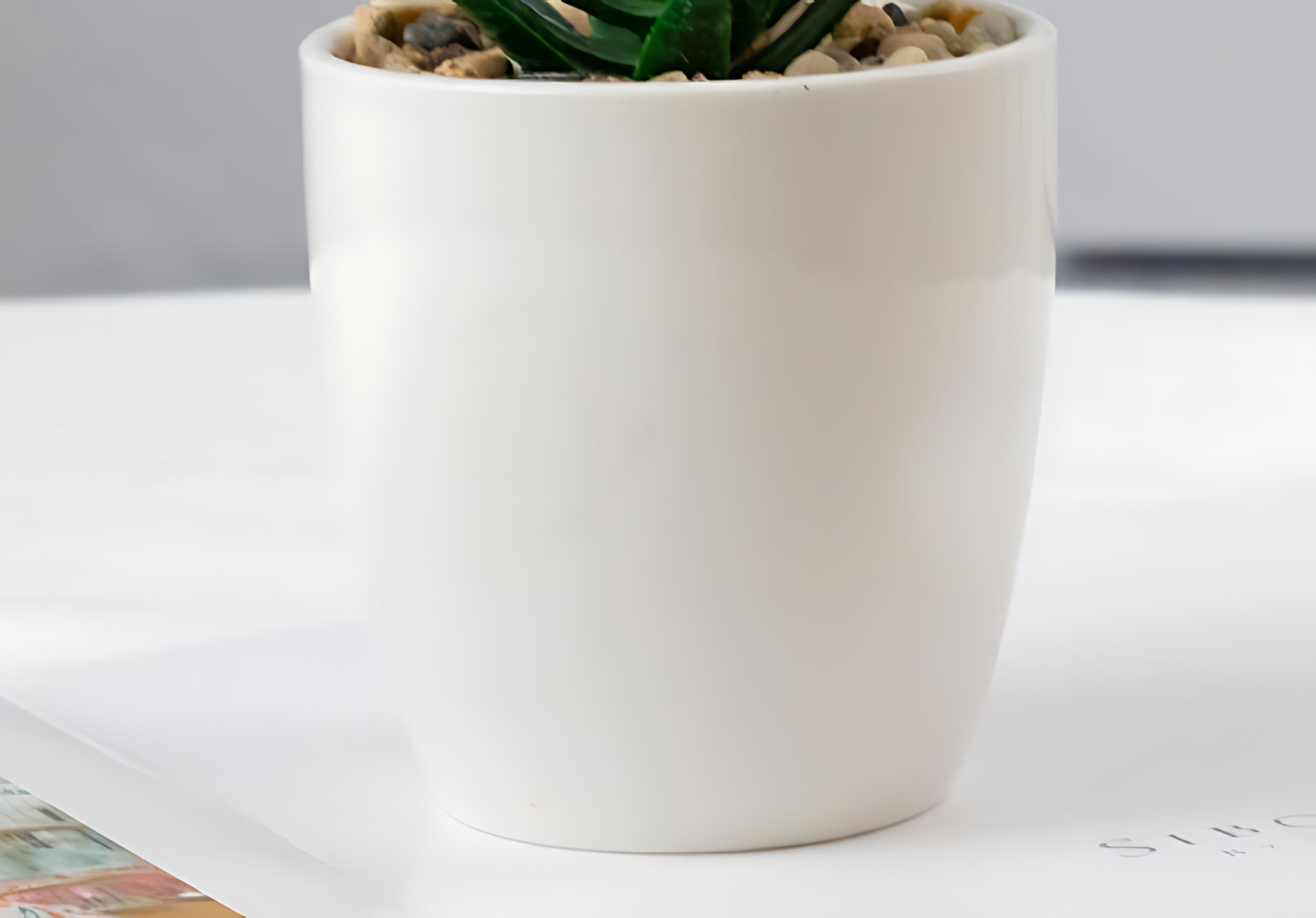 Primrue Simulation Green Plant Small Potted Cactus Fake Dried Flower ...