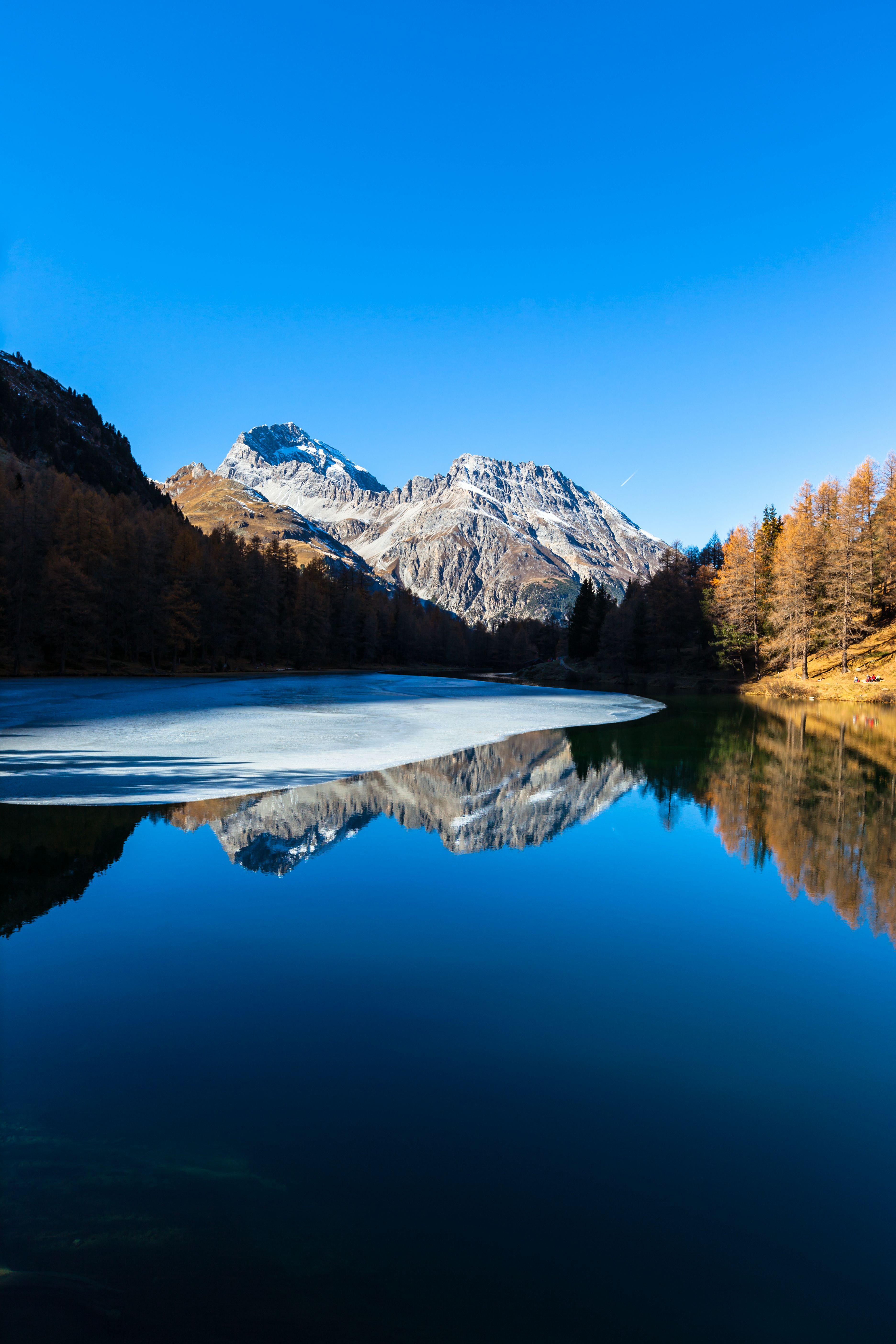 Millwood Pines Fluery Lake Palpuogna by - Wrapped Canvas Photograph ...
