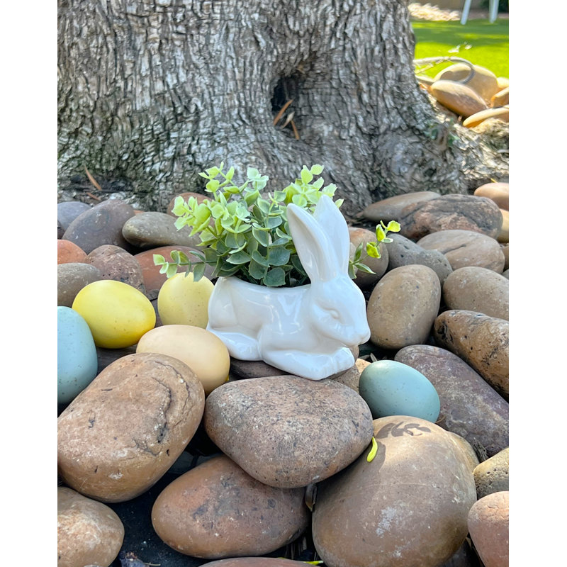 Gracie Oaks Bunny Ceramic Statue Planter & Reviews | Wayfair