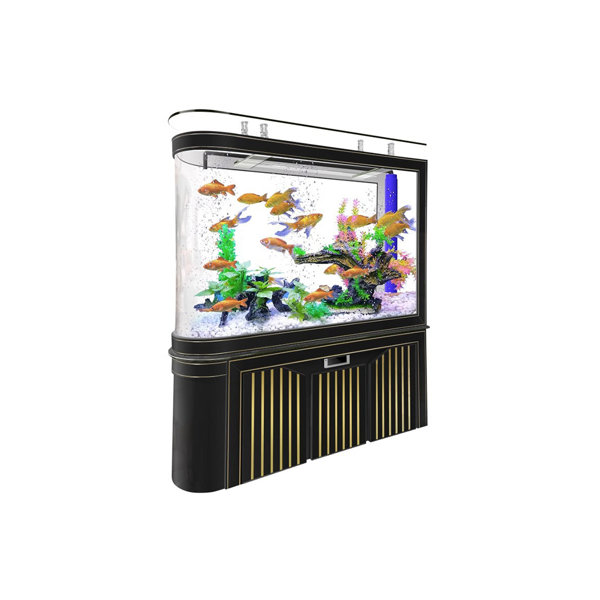 Lingxis Simple Modern Semi-Oval Eco-Aquarium Tank | Wayfair